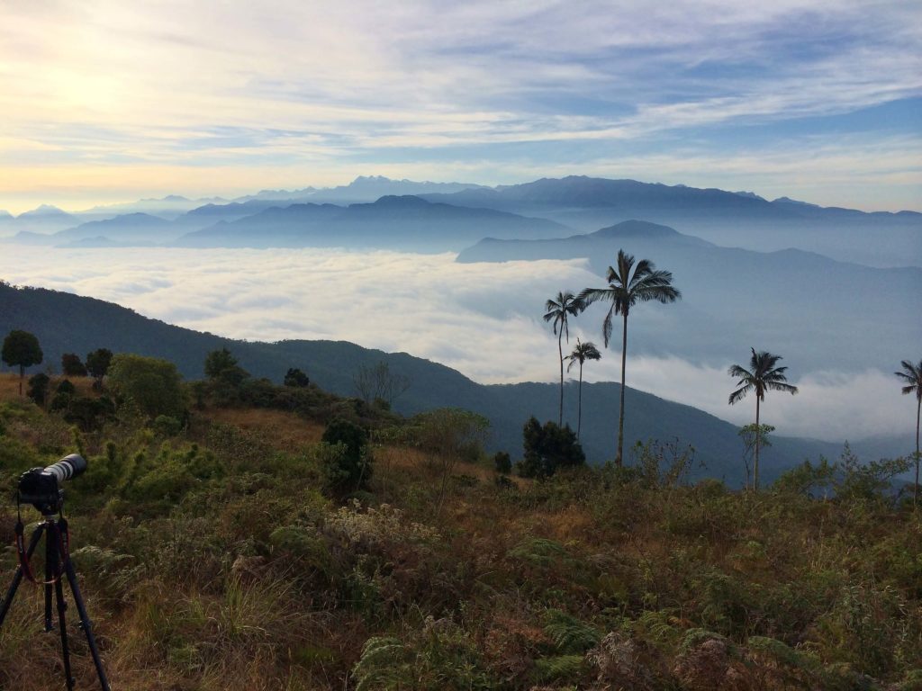 Colombia - Conservation Birding